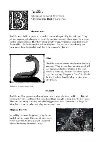 Year 2 English unit - Non-chronological report writing using Fantastic ...