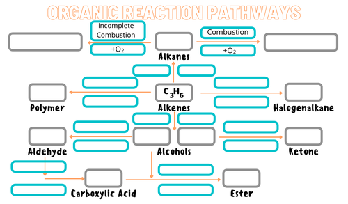 Organic Reaction Pathway Placemat | Teaching Resources