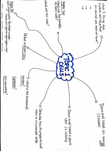 CCEA GCSE Single Award Science - Unit 1 Biology - Mind Maps | Teaching ...