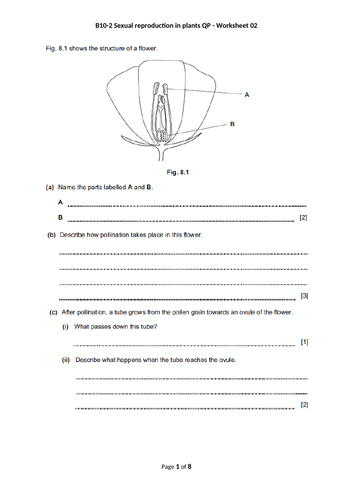 B10-2 Sexual reproduction in plants | Teaching Resources