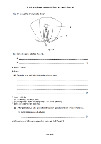 B10-2 Sexual reproduction in plants | Teaching Resources