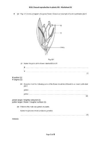 B10-2 Sexual reproduction in plants | Teaching Resources