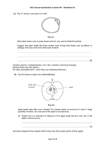 B10-2 Sexual reproduction in plants | Teaching Resources