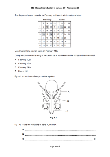 B10-3 Sexual reproduction in humans | Teaching Resources