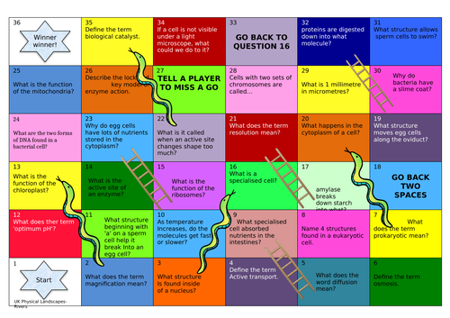 CB1 Revision - Snakes & Ladders | Teaching Resources