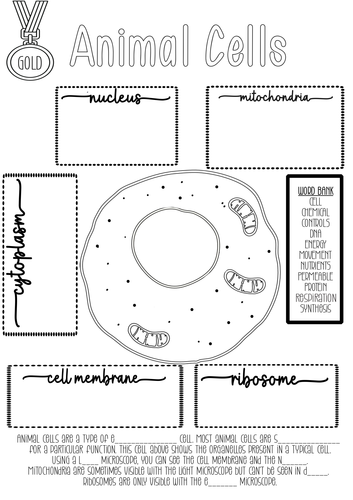 Animal and Plant Cell Differentiated Worksheets | Teaching Resources