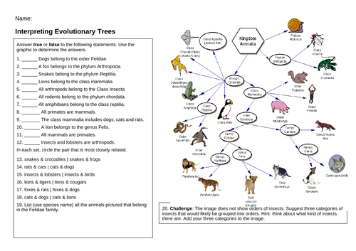 Classification - Biology (I)GCSE: teacher ppt and student google Doc's ...