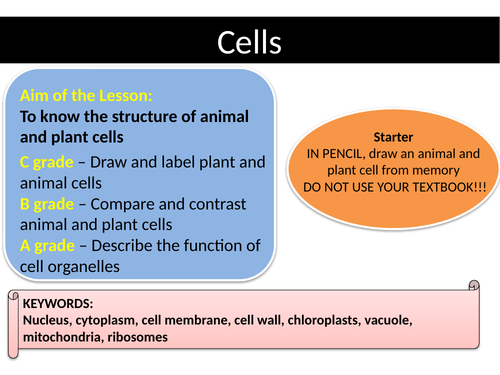 Cells - Biology (I)GCSE: teacher ppt and student google Doc's ...