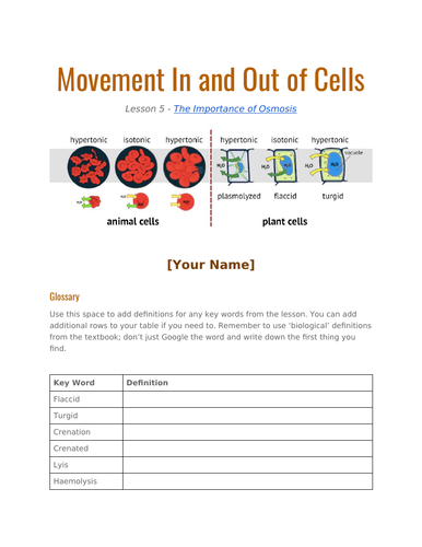 Movement in and out of cells - Biology (I)GCSE: teacher ppt and student ...