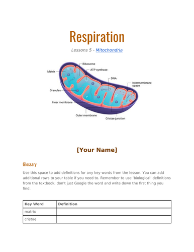 Respiration - Biology A Level: teacher ppt and student google Doc's ...