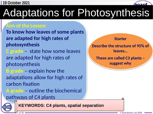 Photosynthesis - Biology A Level: teacher ppt and student google Doc's ...