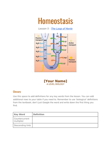 Homeostasis - Biology A Level: teacher ppt and student google Doc's ...