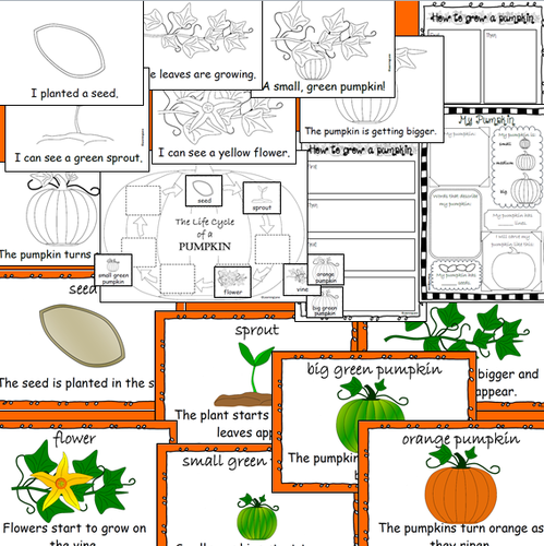 The Biggest Pumpkin Ever - Book Companion, Sequencing and Science ...