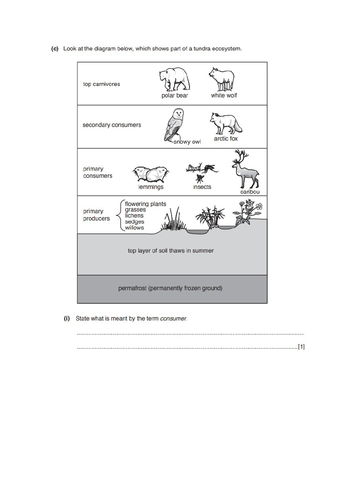 Natural Ecosystems Revision Questions | Teaching Resources