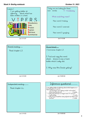 Skellig Guided Reading Planning | Teaching Resources