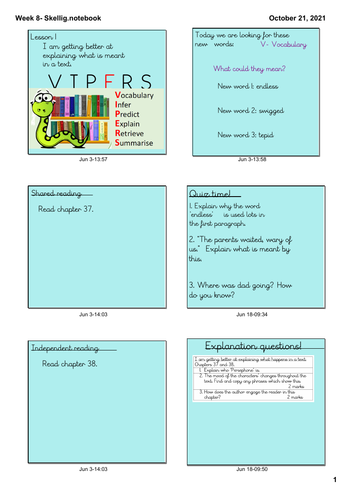 Skellig Guided Reading Planning | Teaching Resources