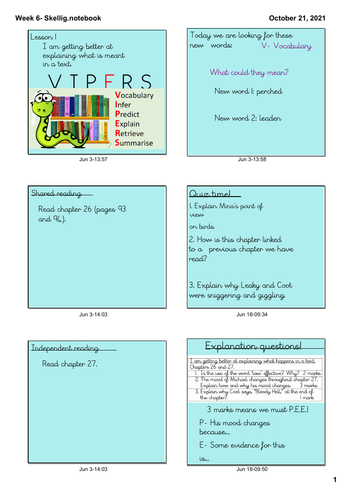 Skellig Guided Reading Planning | Teaching Resources