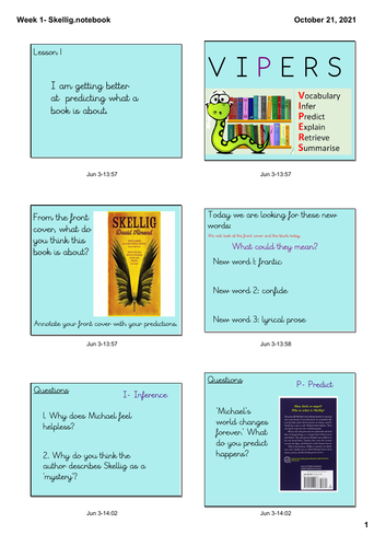Skellig Guided Reading Planning | Teaching Resources