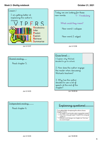 Skellig Guided Reading Planning | Teaching Resources