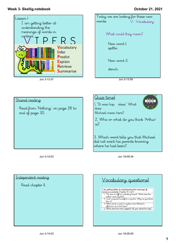 Skellig Guided Reading Planning | Teaching Resources
