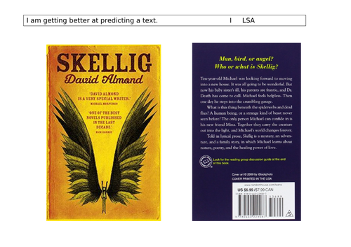 Skellig Guided Reading Planning | Teaching Resources