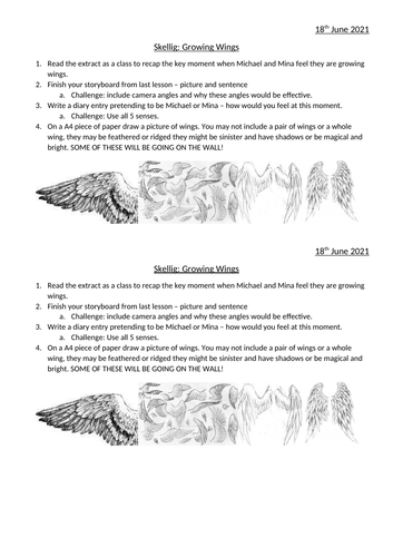 Skellig Theme Lessons | Teaching Resources