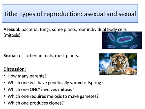 Types of reproduction New AQA Biology 1-9 | Teaching Resources