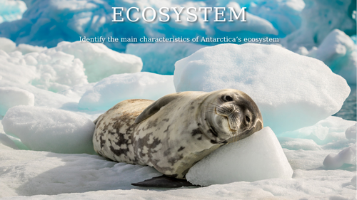 Antarctica, KS3 Geography (complete short unit) | Teaching Resources