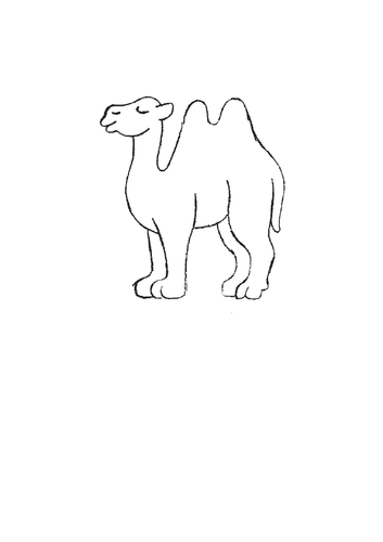 Ecosystems & Environmental Change, KS3 Geography (complete unit ...