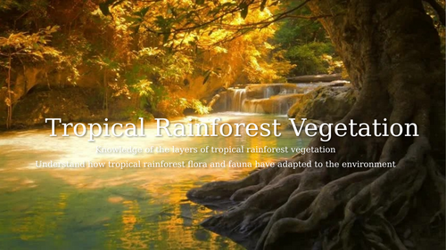 Ecosystems & Environmental Change, KS3 Geography (complete unit ...