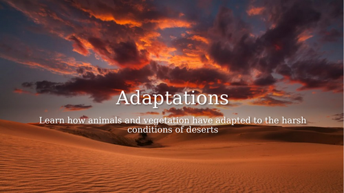 Ecosystems & Environmental Change, KS3 Geography (complete unit ...