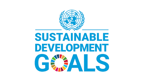 Sustainable Development Goals Display | Teaching Resources