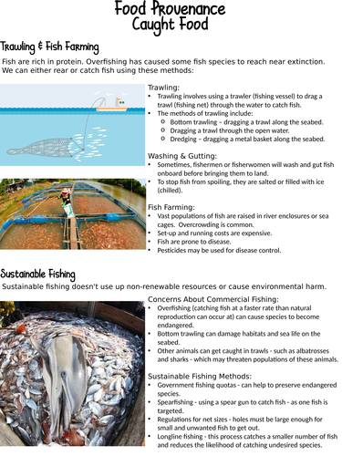 Food Provenance GCSE Food AQA | Teaching Resources