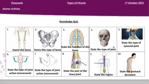 Muscular System Teaching Pack | Teaching Resources