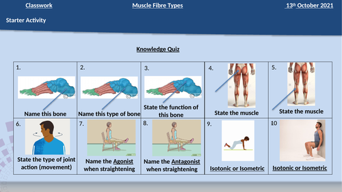 Muscular System Teaching Pack | Teaching Resources