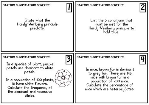 A-level Biology Populations and Evolution Task Card Activity | Teaching ...