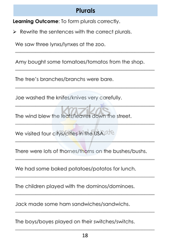 Functional Skills English - Entry Level 3 - Plurals Workbook | Teaching ...