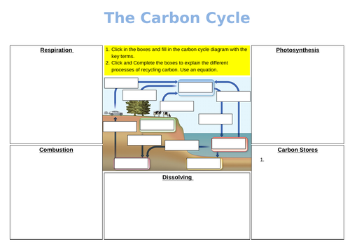 KS3 Carbon Cycle | Teaching Resources