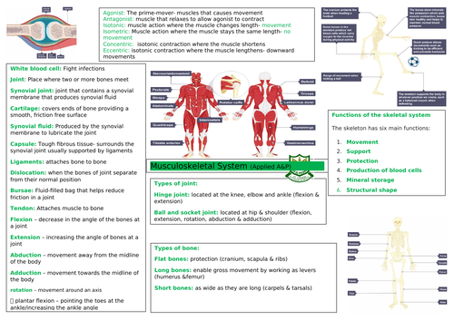 OCR GCSE PE knowledge organisers | Teaching Resources OCR GCSE PE knowledge organisers | Teaching Resources