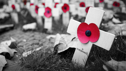 Remembrance Assembly - Commemoration & Humanity | Teaching Resources