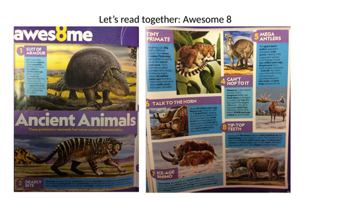 Guided reading year 4 comic non-fiction animals | Teaching Resources