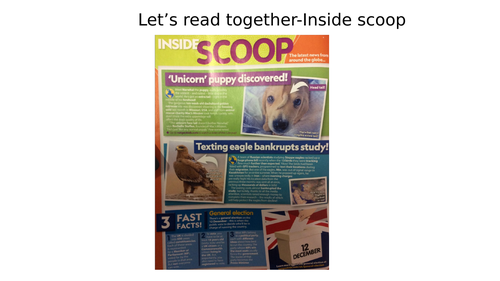 Guided reading year 4 comic non-fiction animals | Teaching Resources