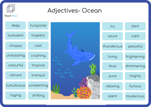 Adjectives- Ocean | Teaching Resources