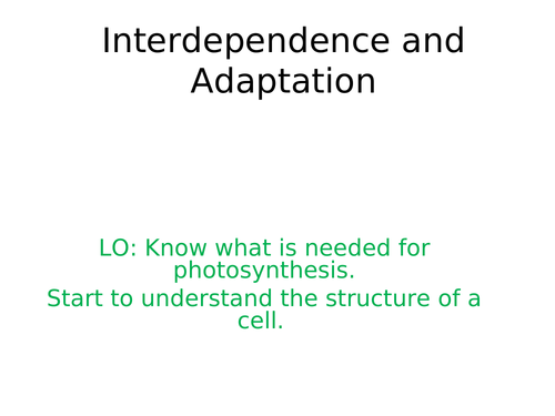 Science Interdependence Adaptation Food Chains Planning Year 5 and 6 ...