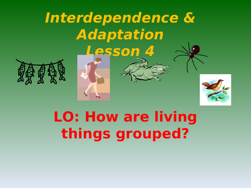 Science Interdependence Adaptation Food Chains Planning Year 5 and 6 | Teaching Resources
