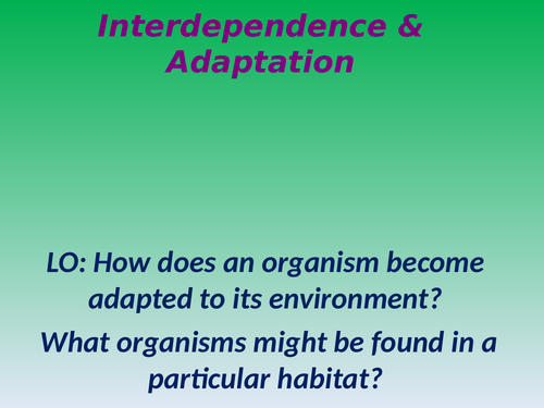 Science Interdependence Adaptation Food Chains Planning Year 5 and 6 ...