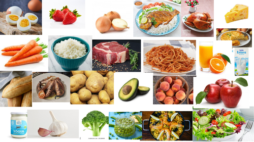 Matamoscas La Comida | Teaching Resources