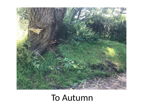 Detailed annotation and analysis of 'To Autumn' by Keats for A level/IB ...