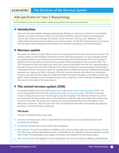 AQA Psychology: Biopsychology: Nervous System | Teaching Resources
