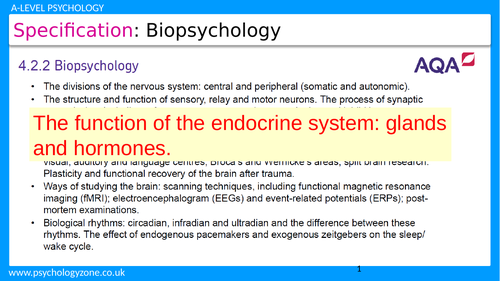 AQA Psychology: Biopsychology: Endocrine System | Teaching Resources